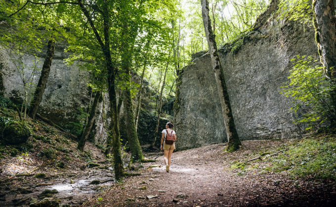 Le plateau de Langres | Haute-Marne Attractivité