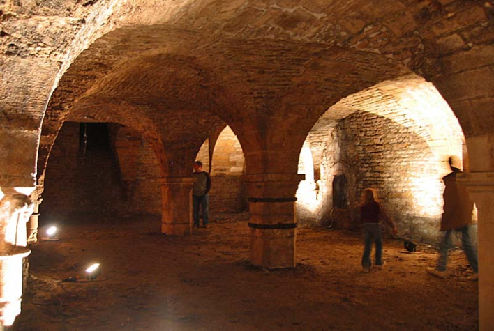 Maison Renaissance - LANGRES - Haute-Marne Attractivité